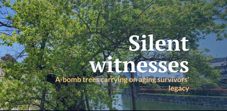 Silent witnesses A-bomb trees carrying on aging survivors' legacy